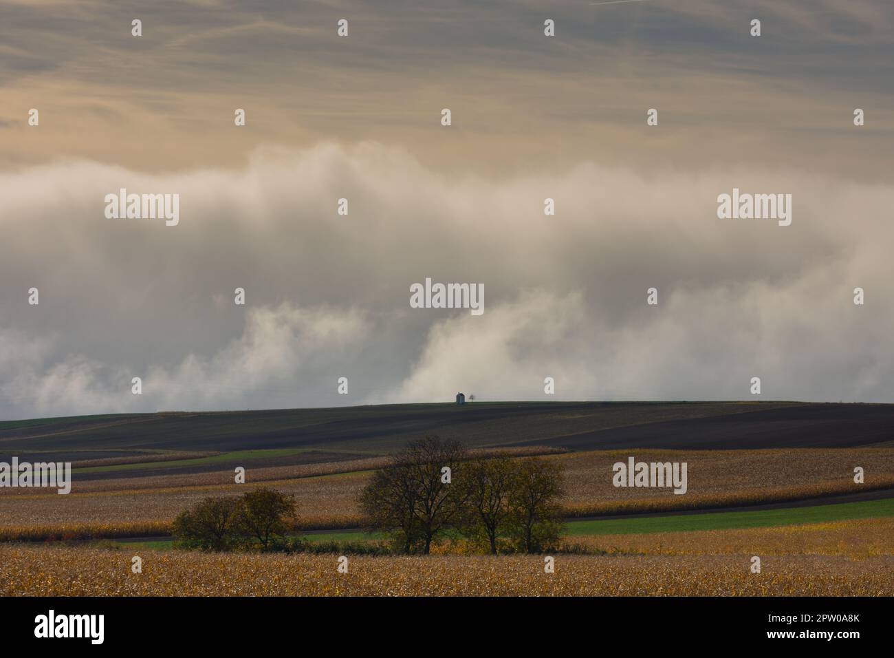 fields with a wayside shrine a huge dense wall of white fog on the ...
