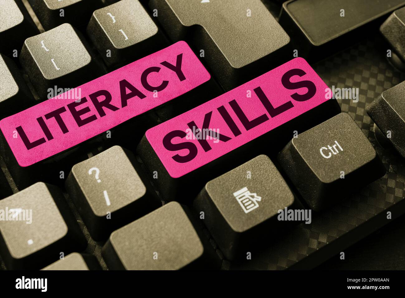 Conceptual caption Literacy Skills, Concept meaning all knowledge and ...