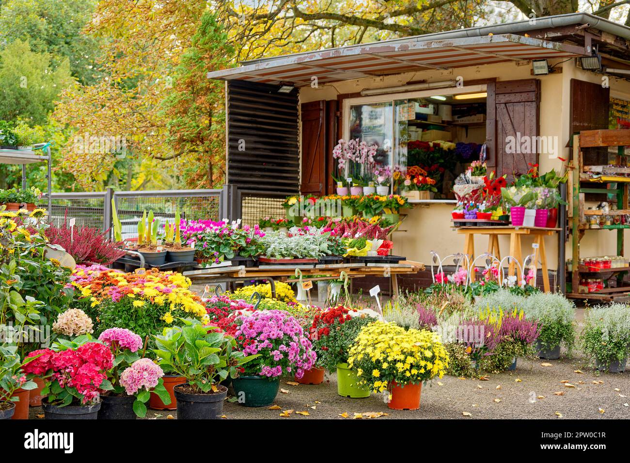 Colorful flowers on the sidewalk in front of a vendor shack Stock Photo ...