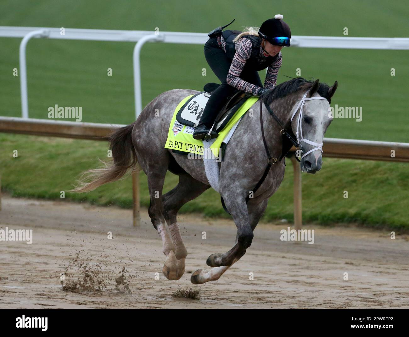 Louisville, United States. 28th Apr, 2023. Kentucky Derby hopeful Tapit ...