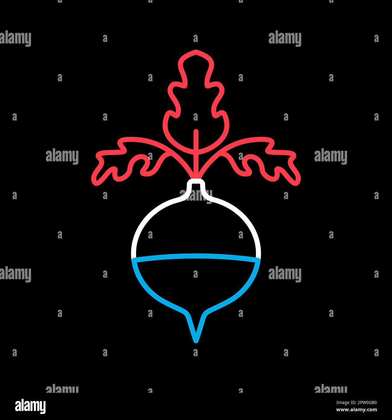 Rutabaga or swede turnip isolated design vector on black background ...