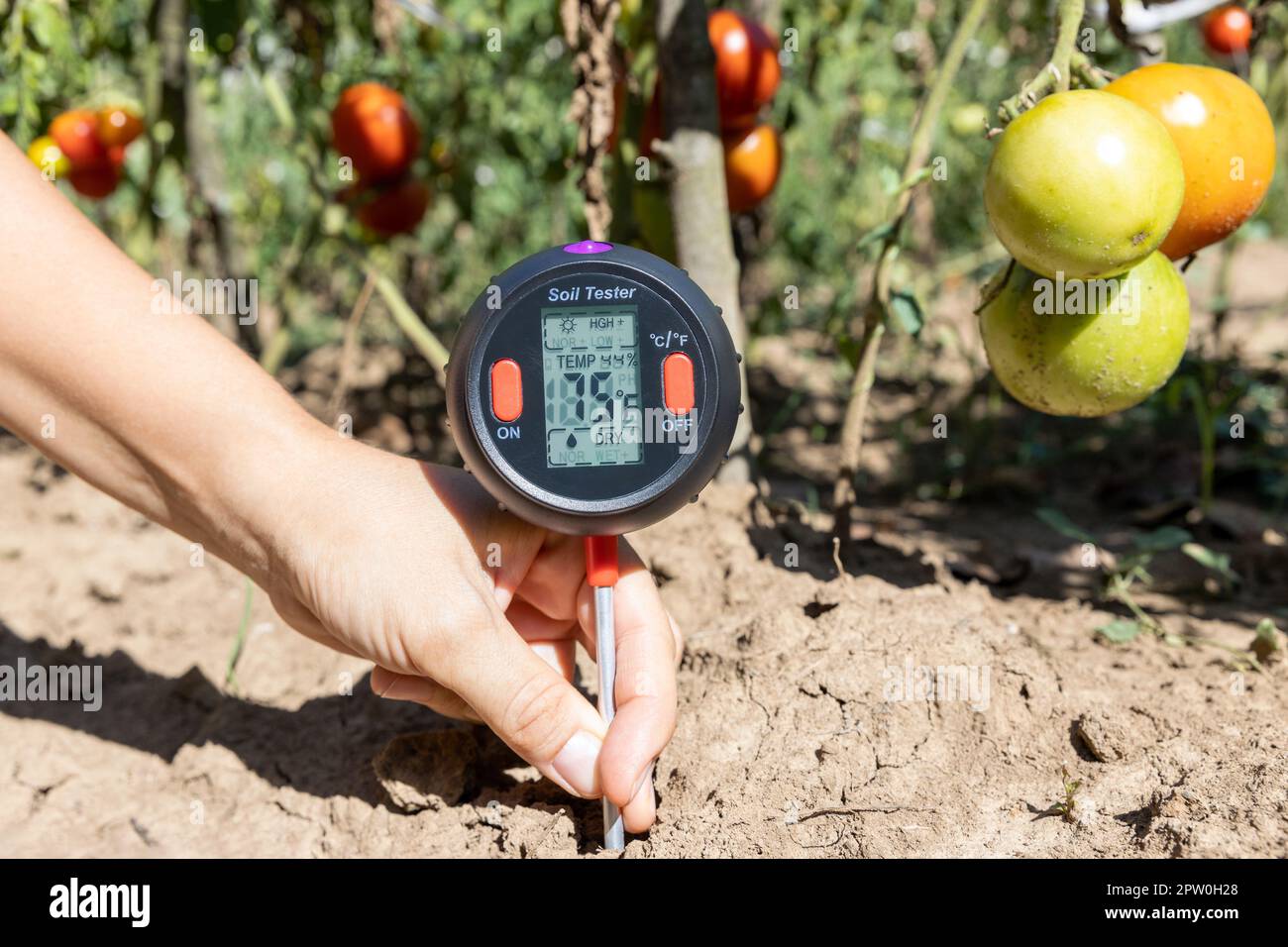 Soil temperature, moisture content, environmental humidity and ...