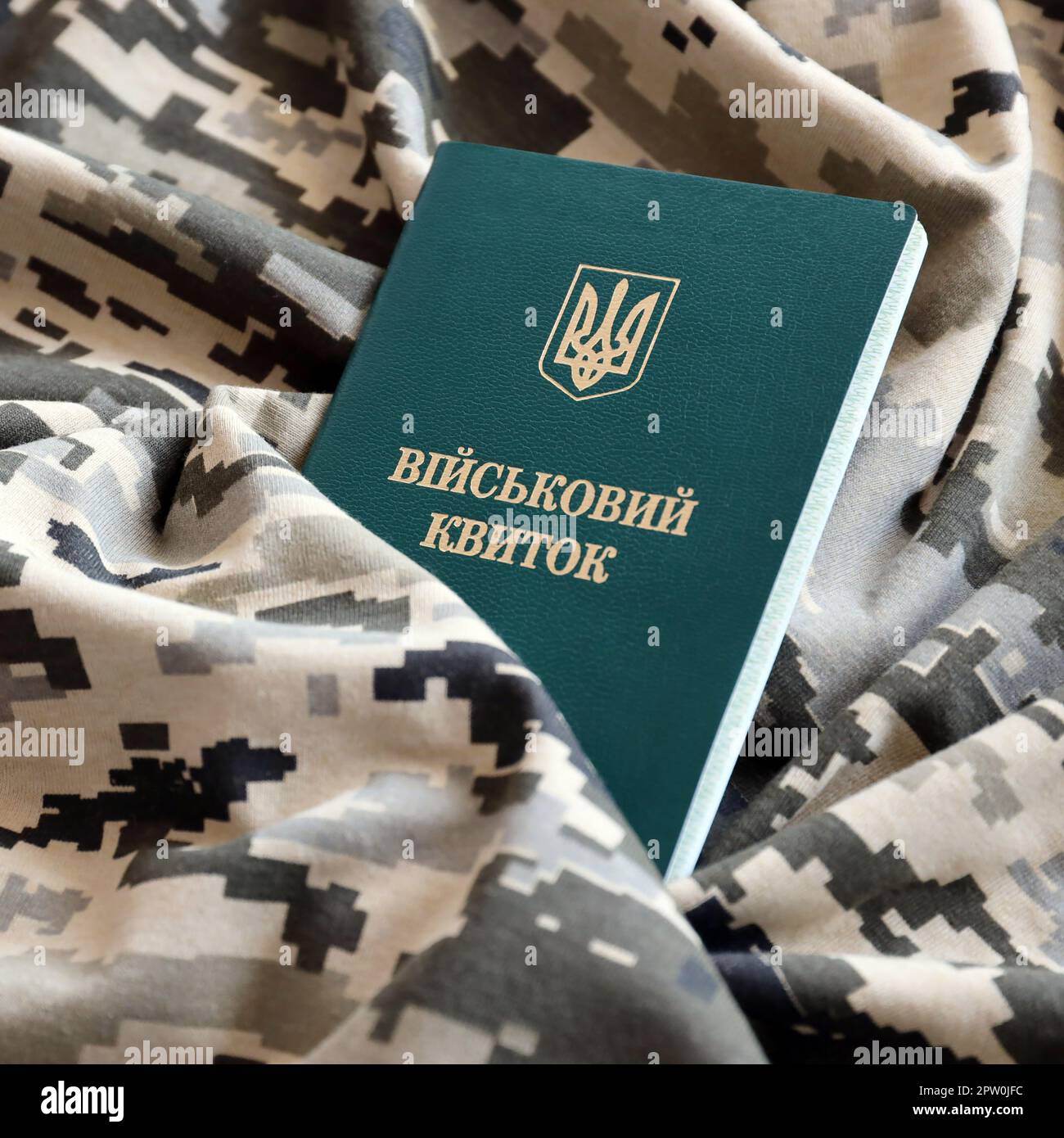 Ukraine army camo pattern hi-res stock photography and images - Alamy