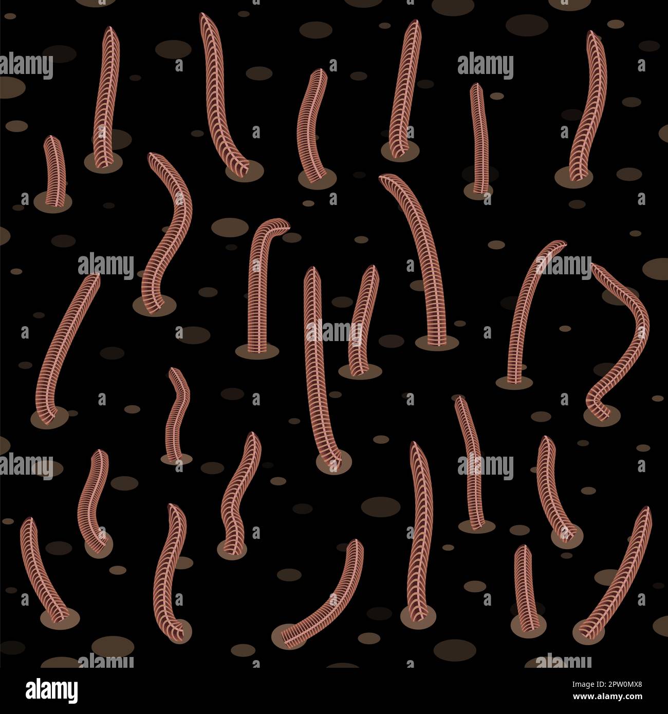 Animal Earth Red Worms for Fishing Isolated on Black Background Stock ...