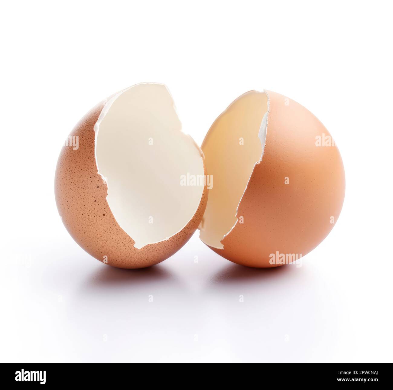 Egg shell of two halves on a white background Stock Photo - Alamy