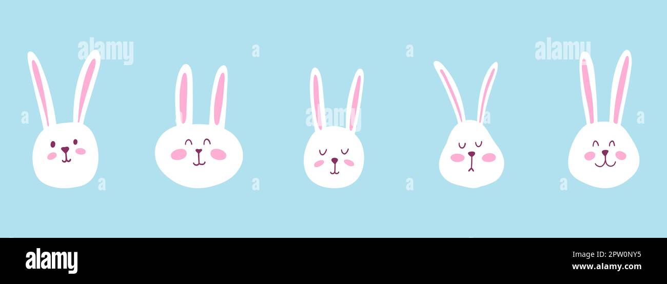Funny Bunny Faces