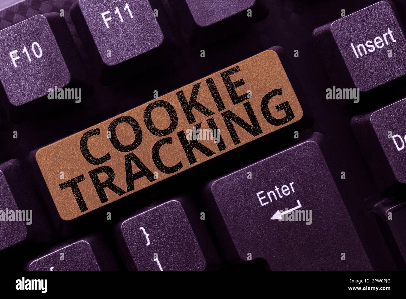 Text sign showing Cookie Tracking, Business approach Data stored in the ...