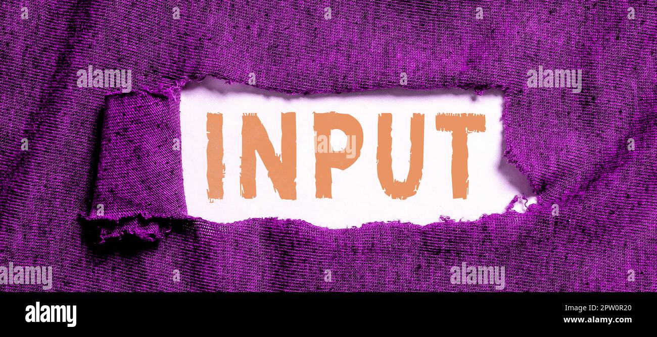 Conceptual display Input, Concept meaning place where device through ...