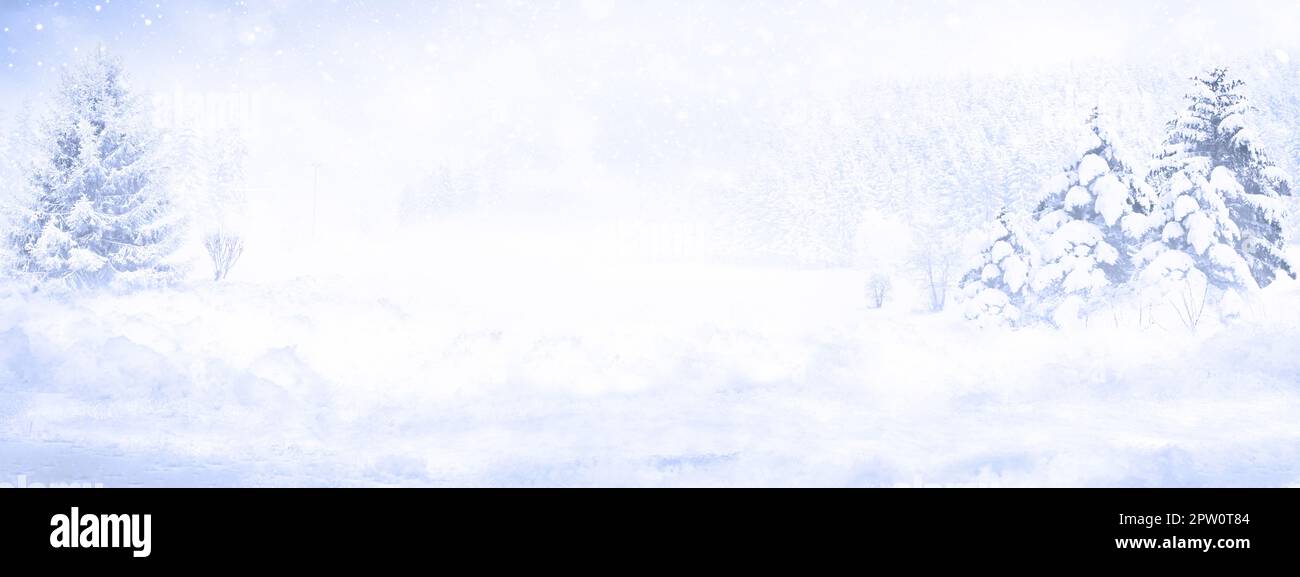 Christmas composition and winter concept. Snow landscape. Christmas and ...