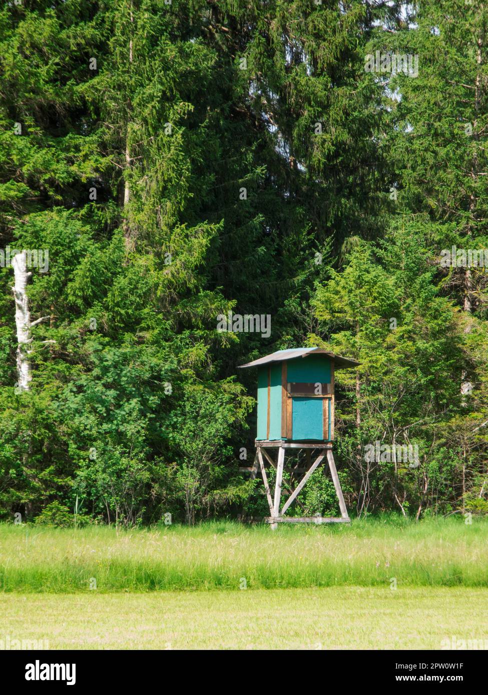 High stand at the edge of a pasture between conifers in the Allgäu in ...