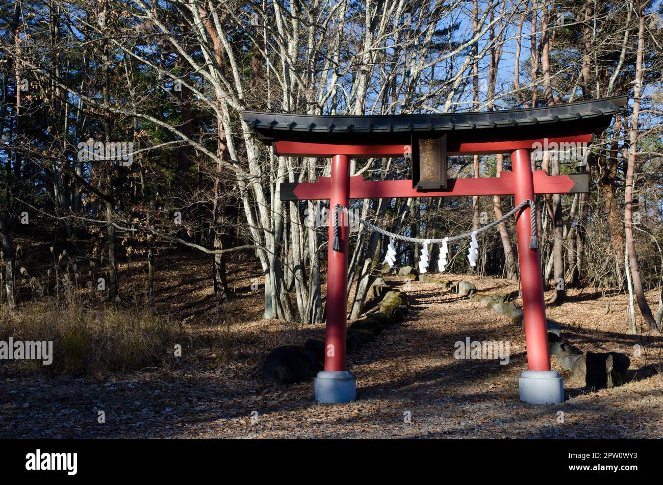 Torii or traditional Japanese gate in Kawaguchico. Honshu. Japan Stock ...