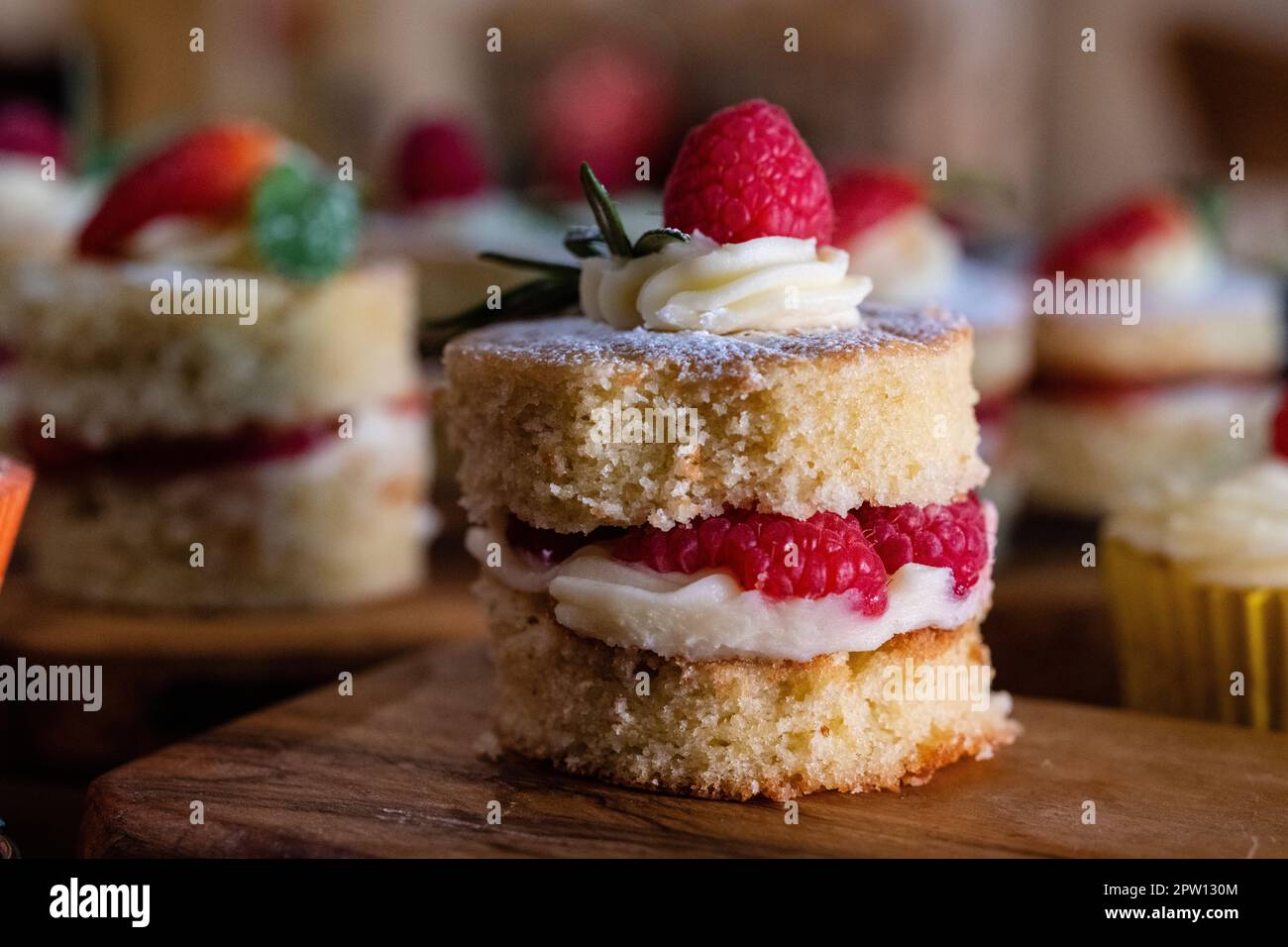 Charles sponge hi-res stock photography and images - Alamy