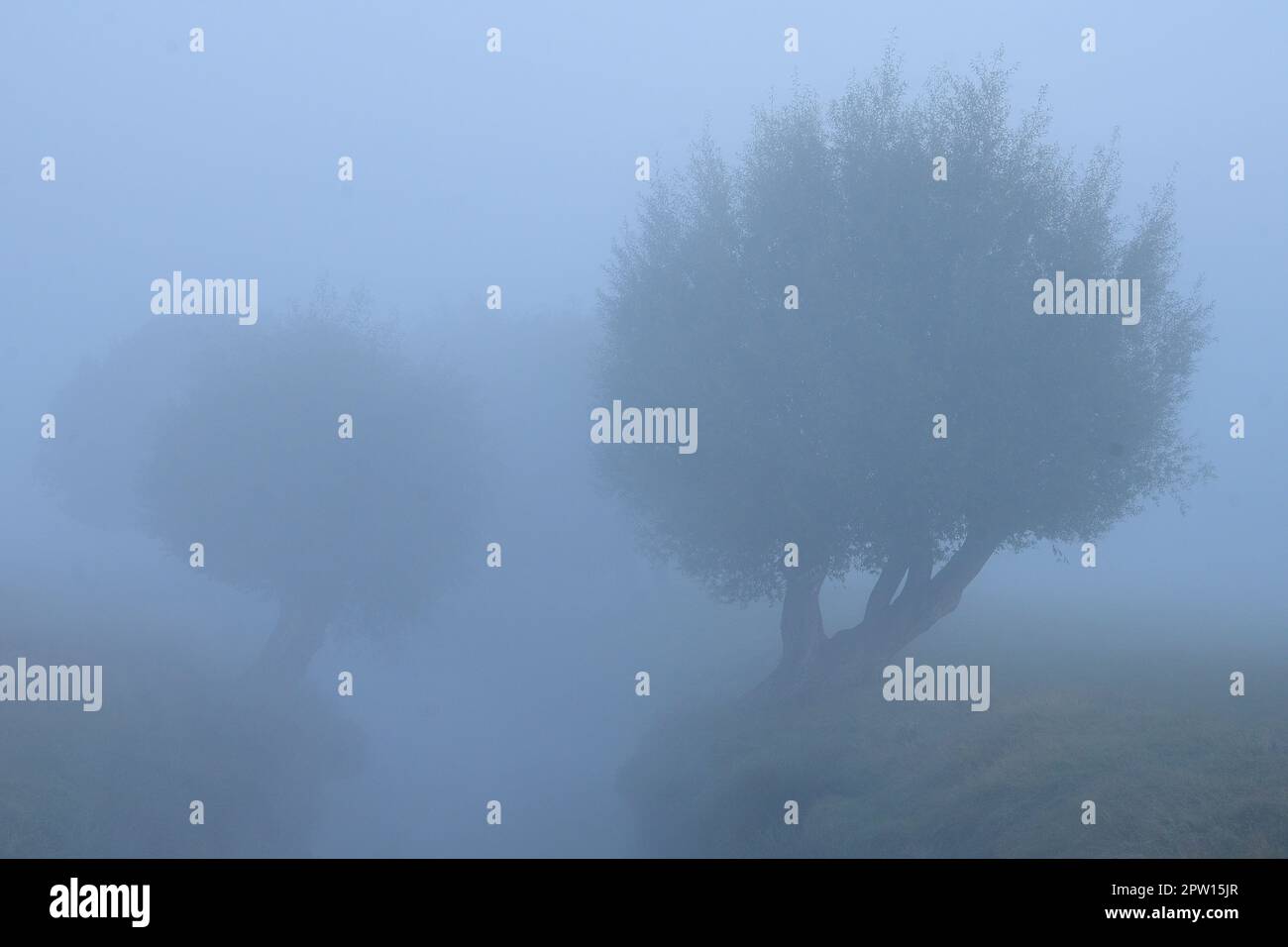 Beverley brook hi-res stock photography and images - Alamy