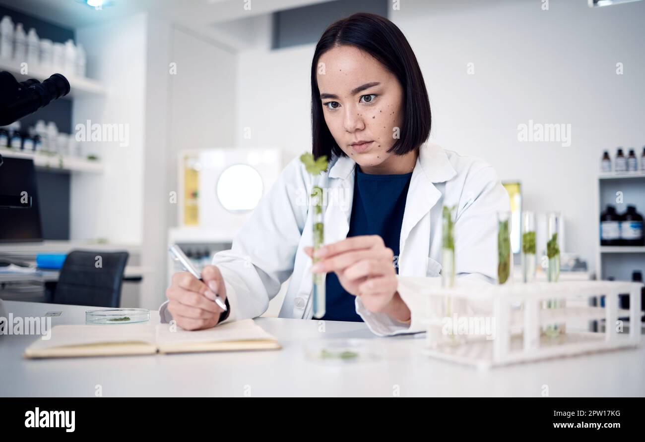 Woman botanist hi-res stock photography and images - Alamy
