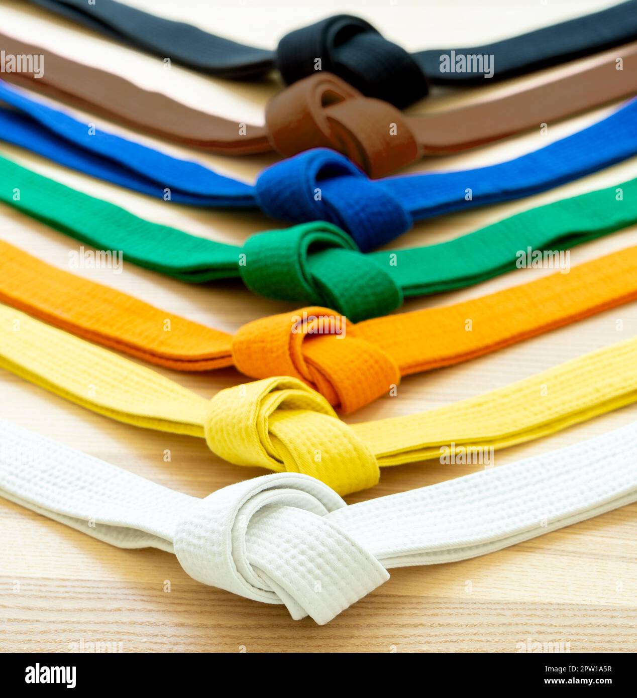 Martial arts colored belts on a wood background. From white to black ...