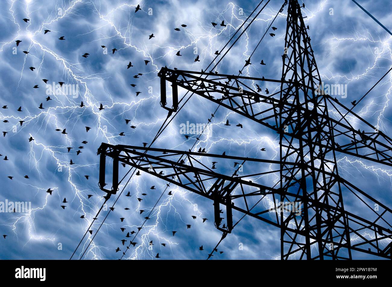 A high voltage pylon with startled birds against dramatic thunderstorm ...