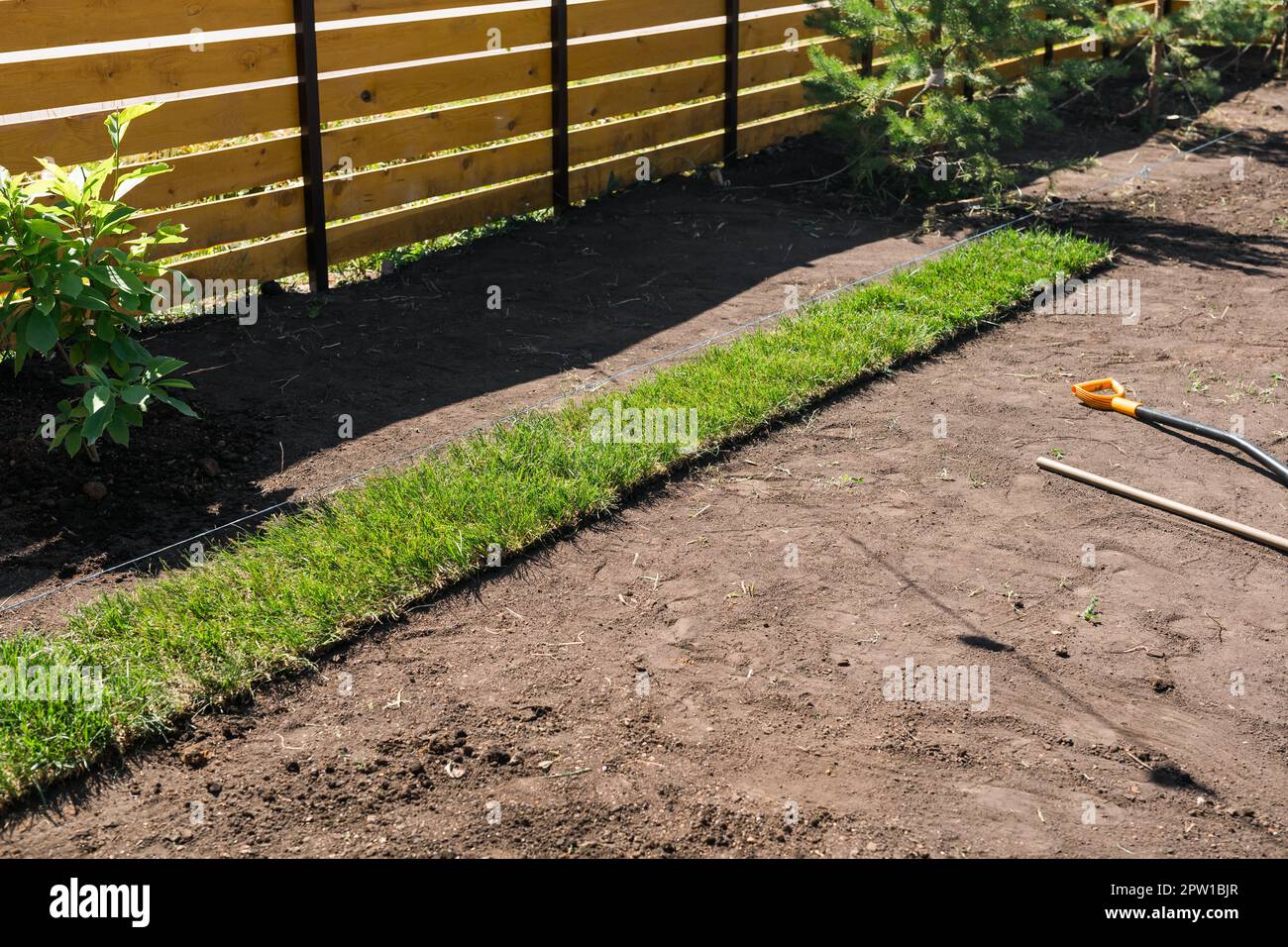 Laying sod for new garden lawn - turf laying Stock Photo - Alamy