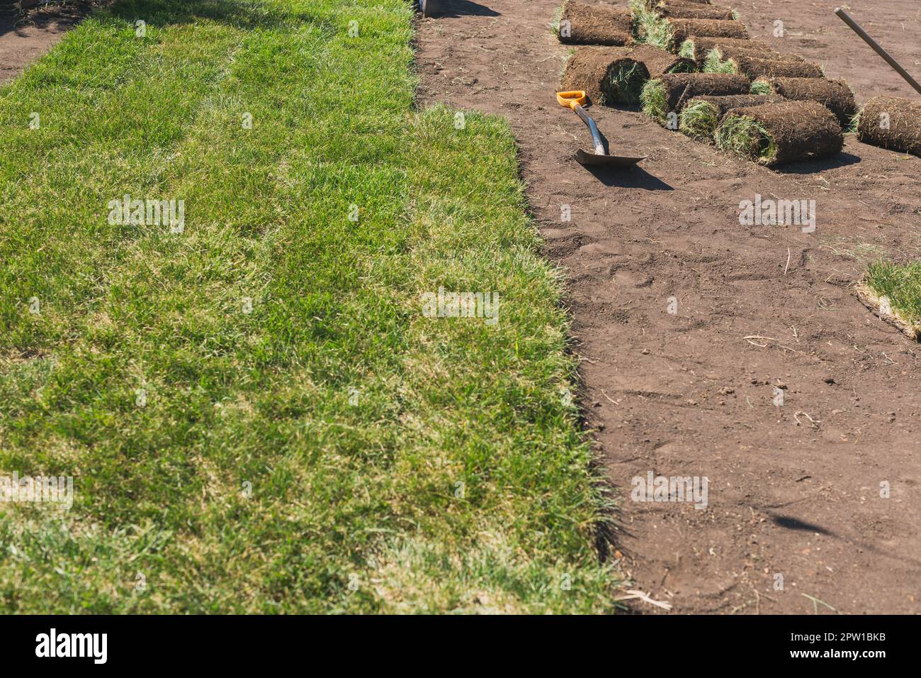 Laying sod for new garden lawn - turf laying Stock Photo - Alamy