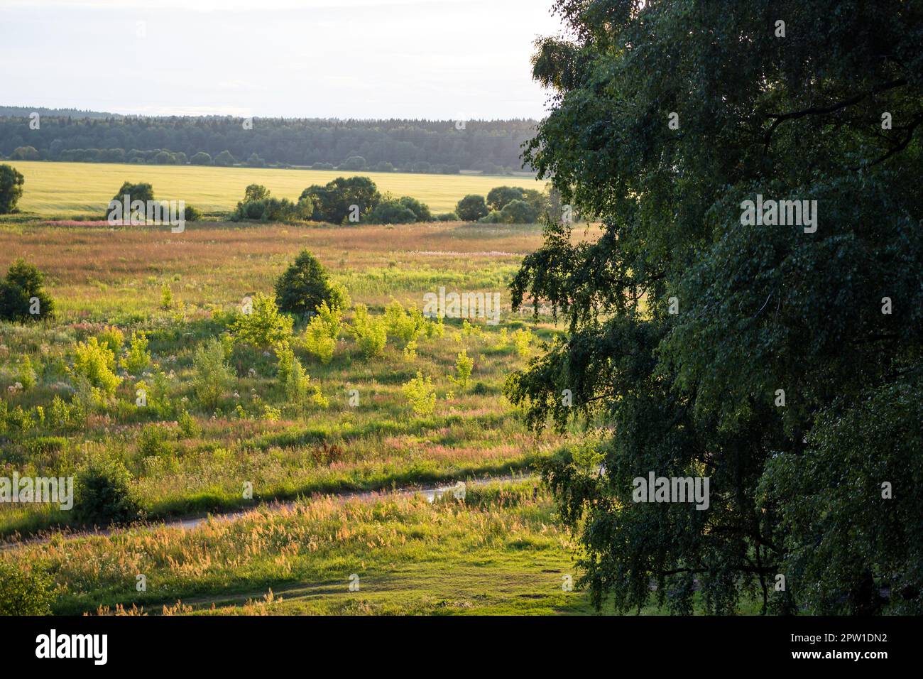 Floodplain space hi-res stock photography and images - Alamy