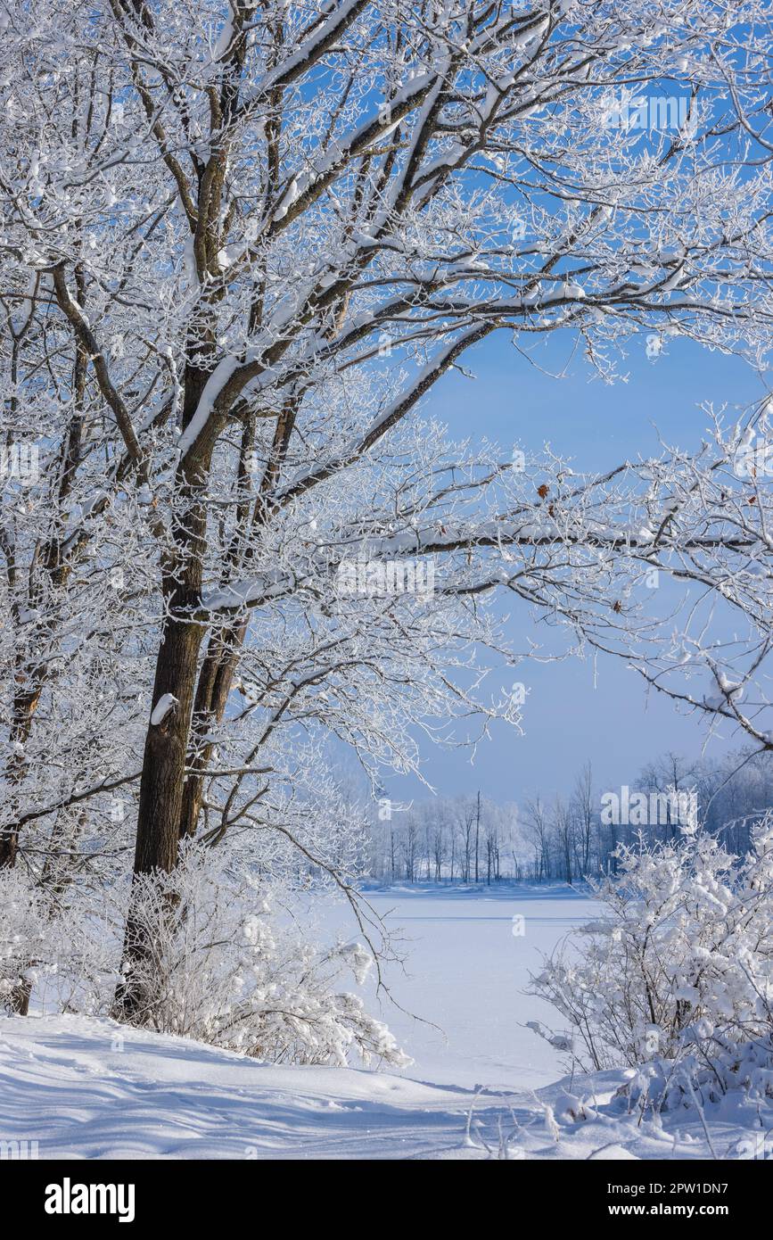 January in northern Wisconsin Stock Photo - Alamy