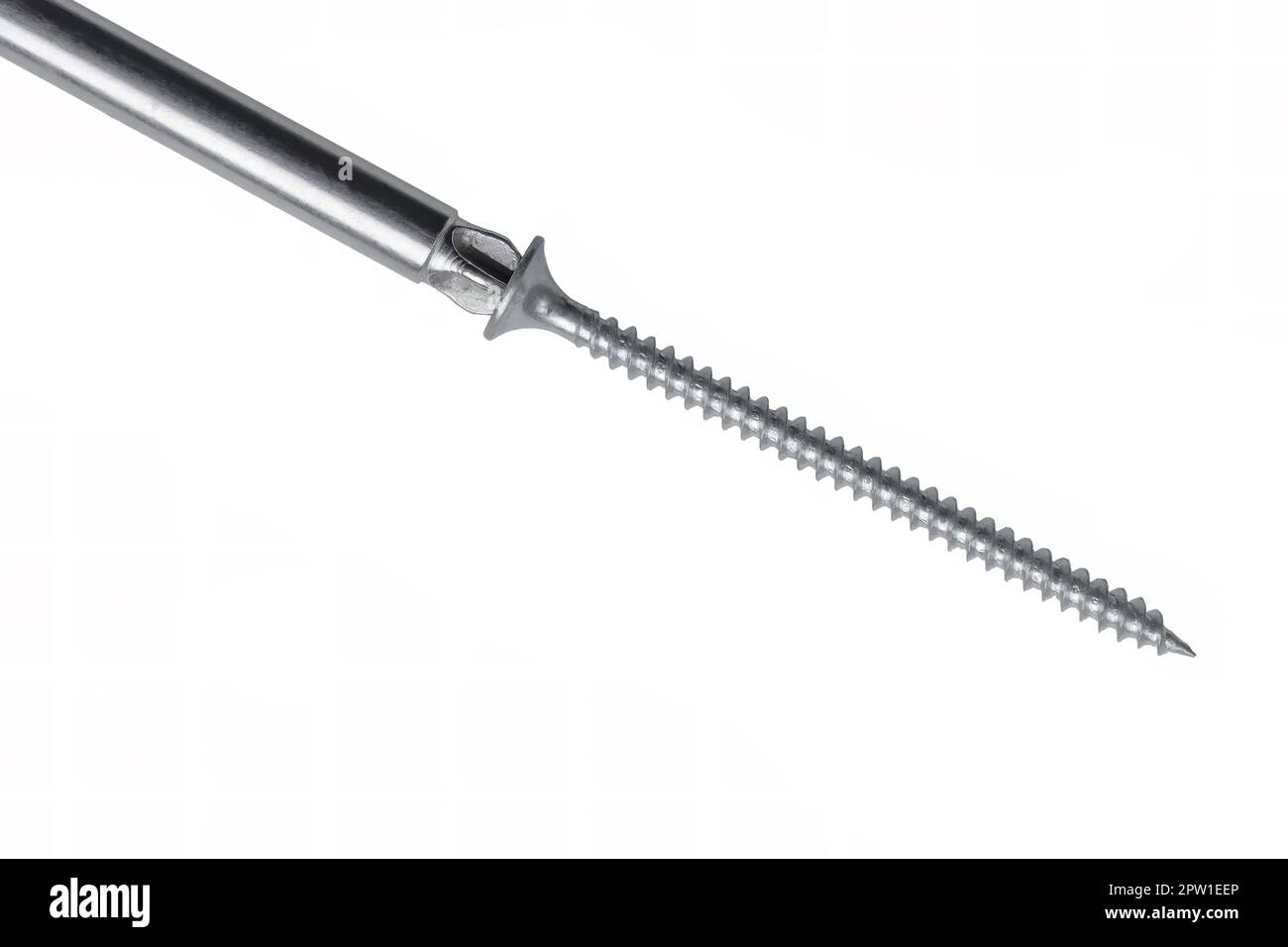 Screwdriver screwing in white self-tapping screw, isolated on white ...