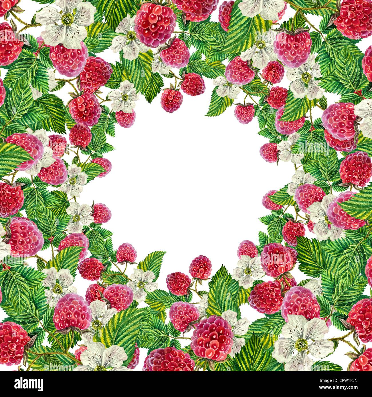 Raspberry. Round frame with raspberry branches with berries and leaves ...