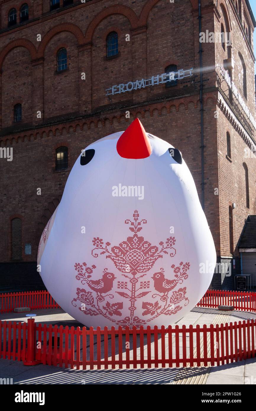 Soloveiko Songbird the national bird of Ukraine for Eurovision 2023 in ...