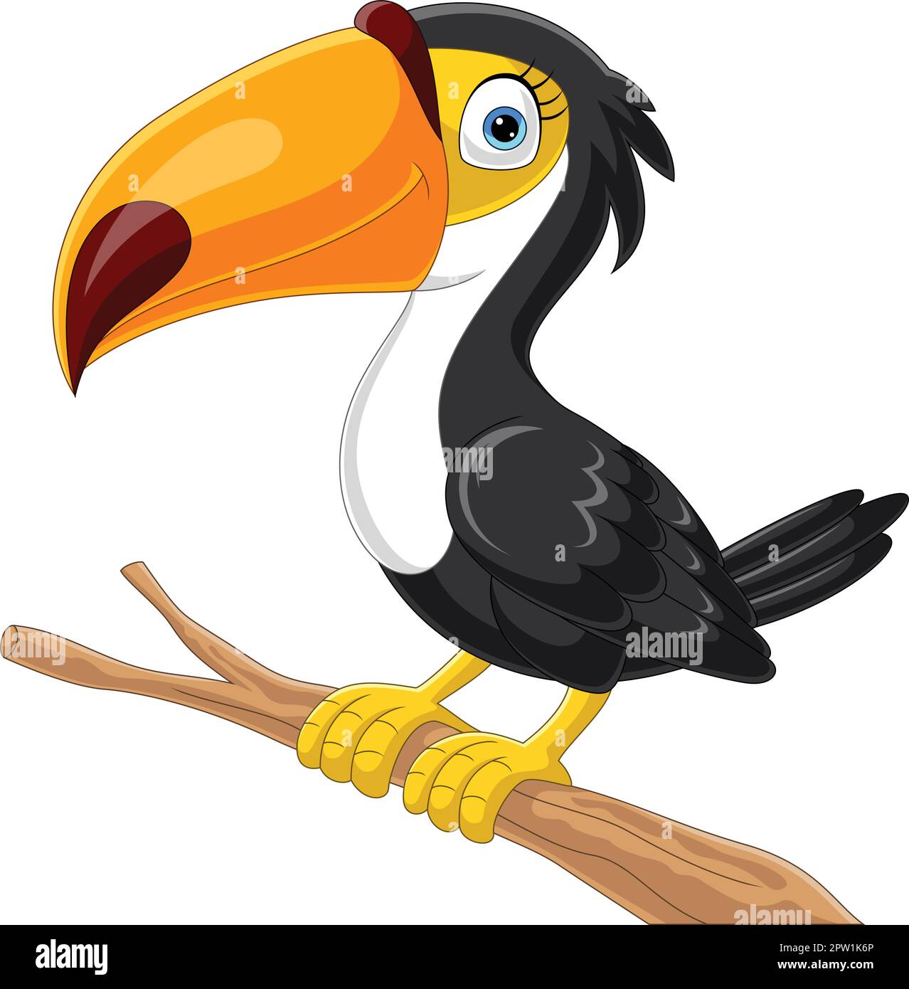 Cartoon toucan bird on tree branch Stock Vector Image & Art - Alamy