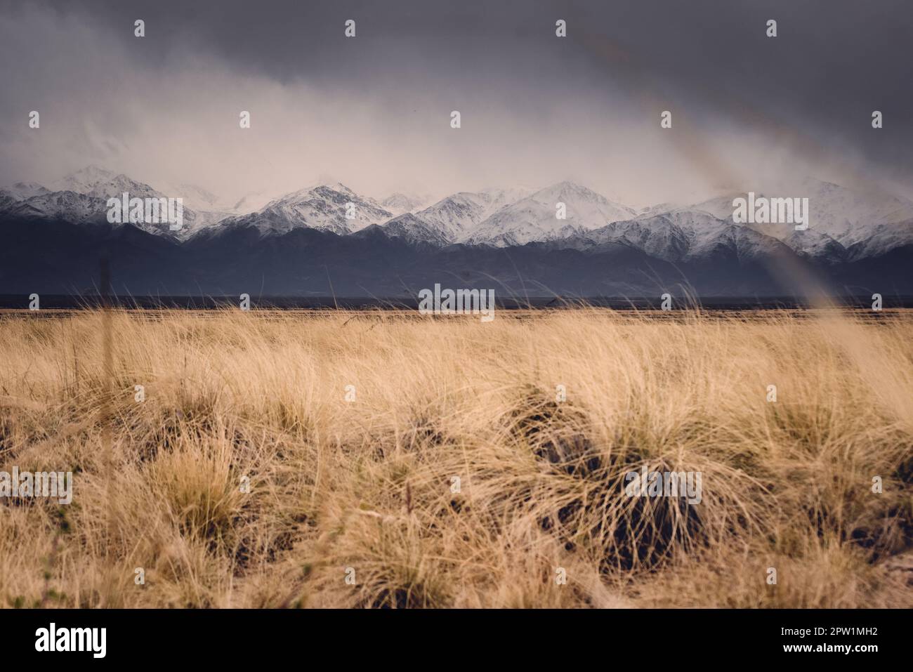 Cold, dry grasslands by the snowy Andes mountains, in Tupungato ...