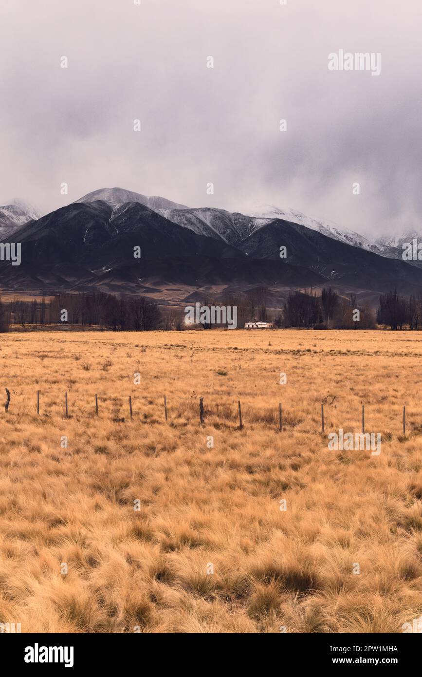 Snowy Andes Mountains looming over vast dry grasslands in Tupungato ...