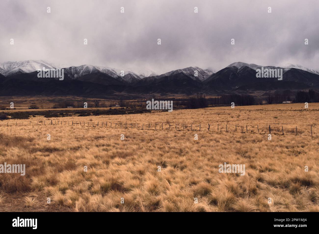 Snowy Andes Mountains looming over vast dry grasslands in Tupungato ...