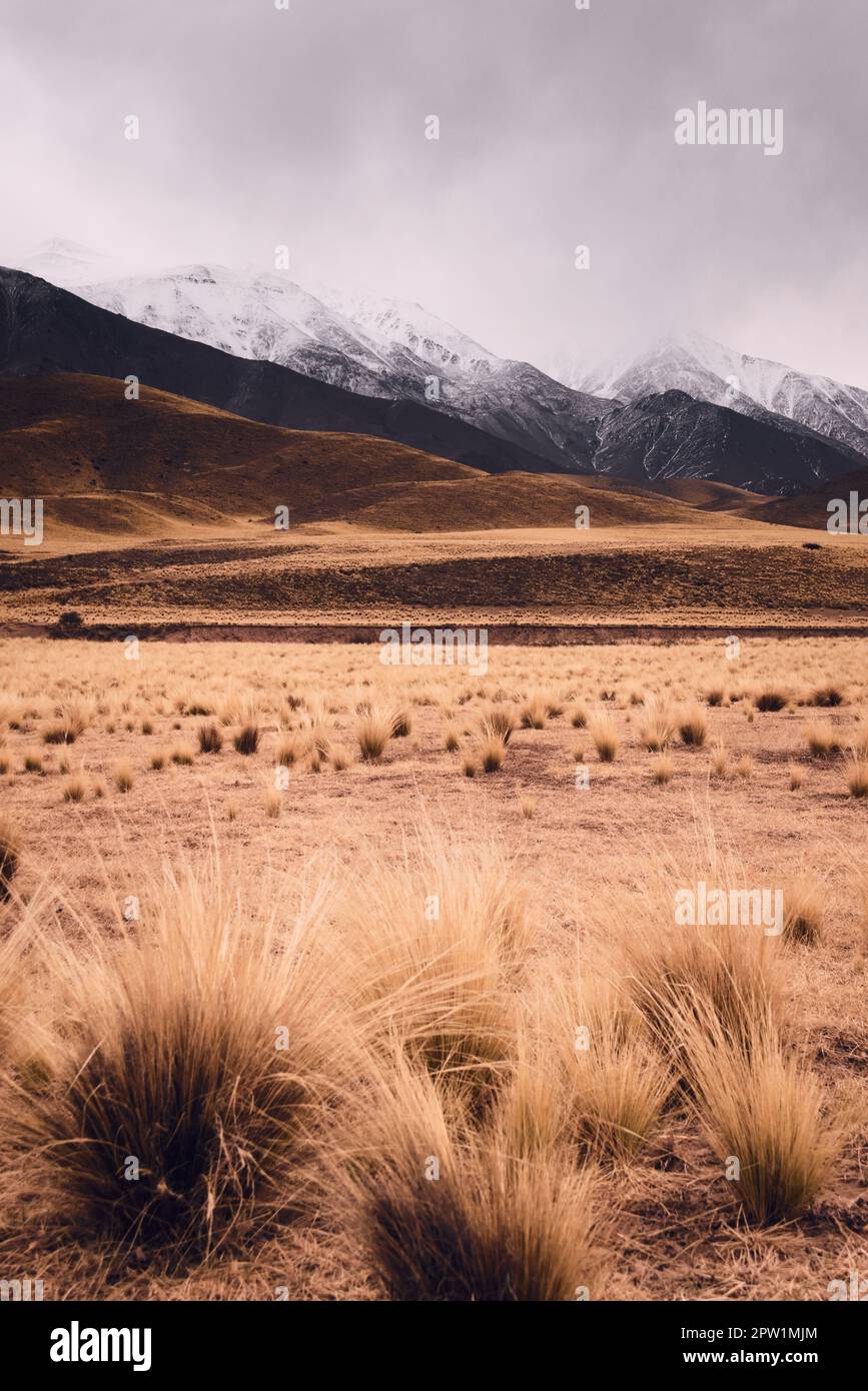 Dry grassland with rolling hills by the snowy Andes mountains in Valle ...