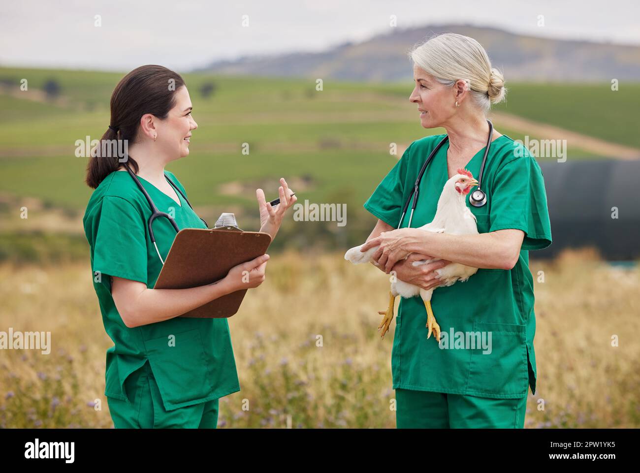 Planning animals hi-res stock photography and images - Alamy