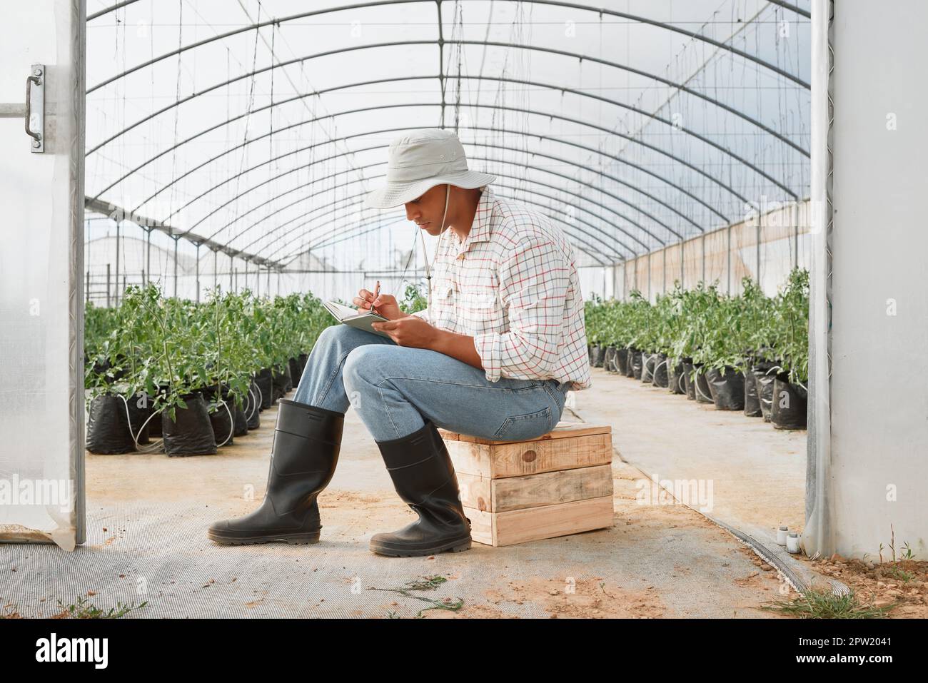 Planning greenhouse hi-res stock photography and images - Alamy