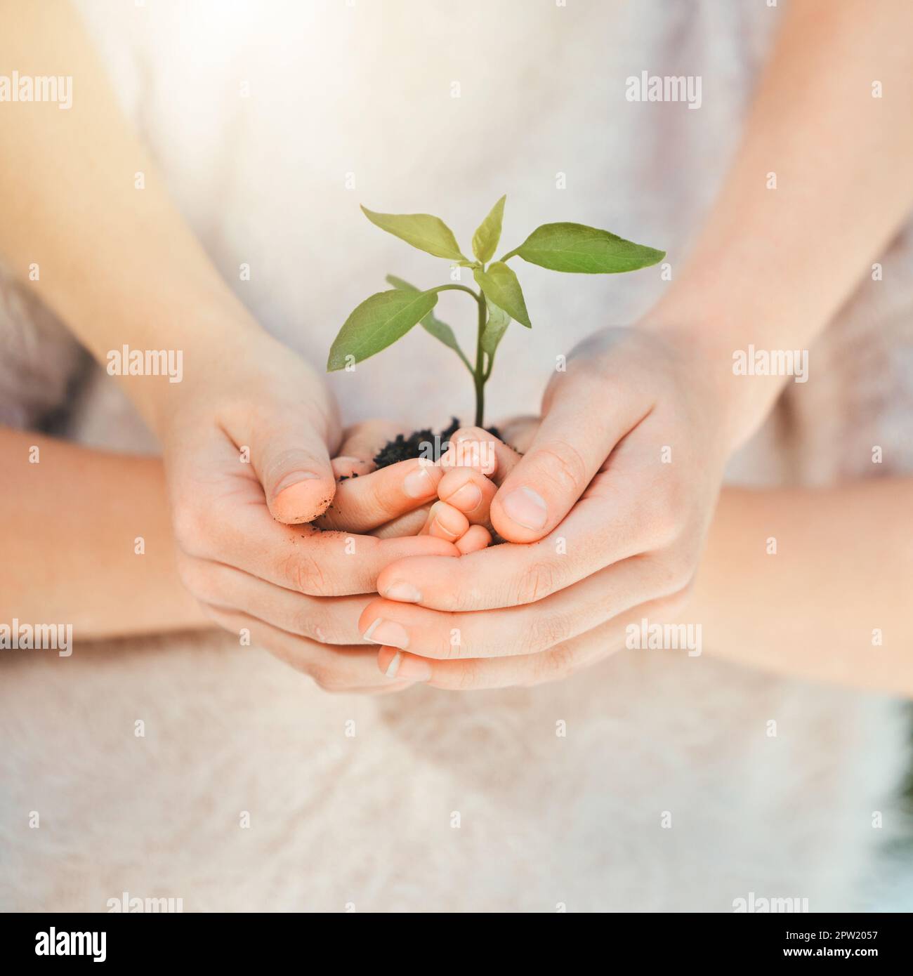 Preserve life. unrecognizable girls holding a plant outside Stock Photo ...