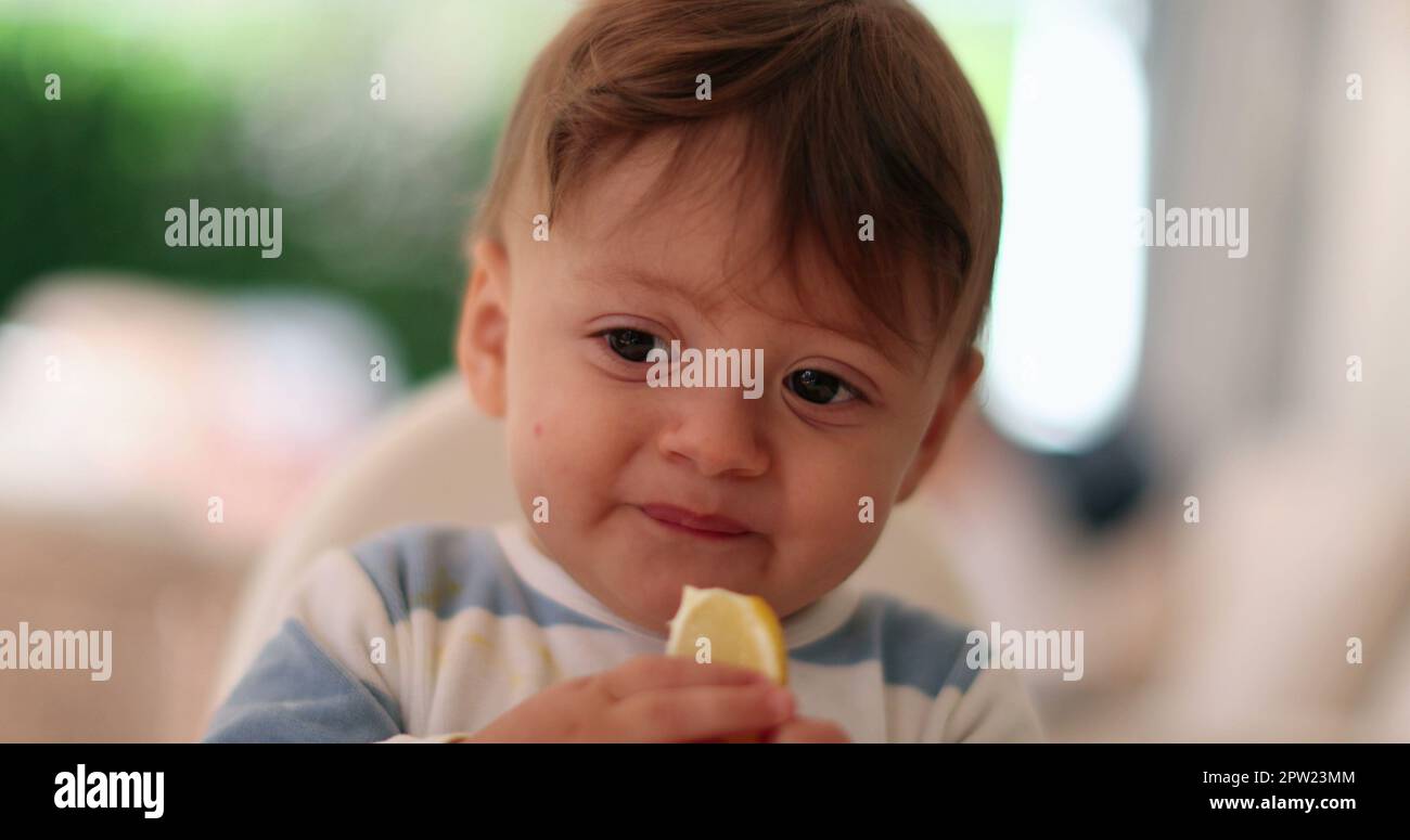 Baby trying lemon for first time, infant toddler face expression ...
