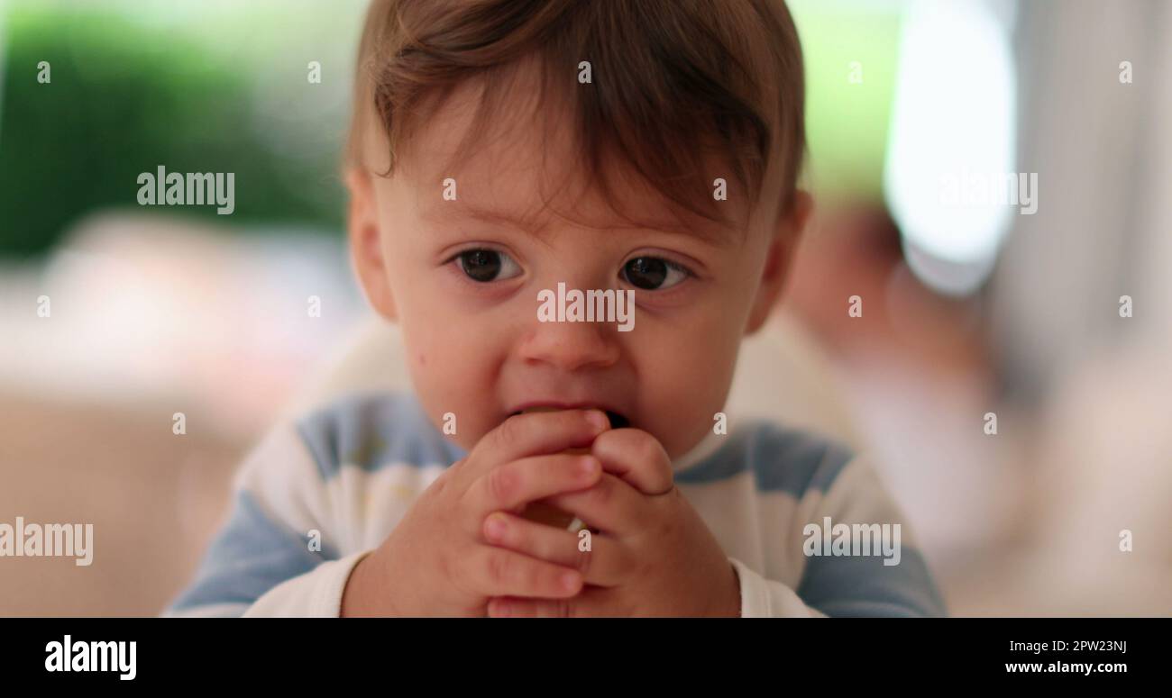 Baby trying lemon for first time, infant toddler face expression ...