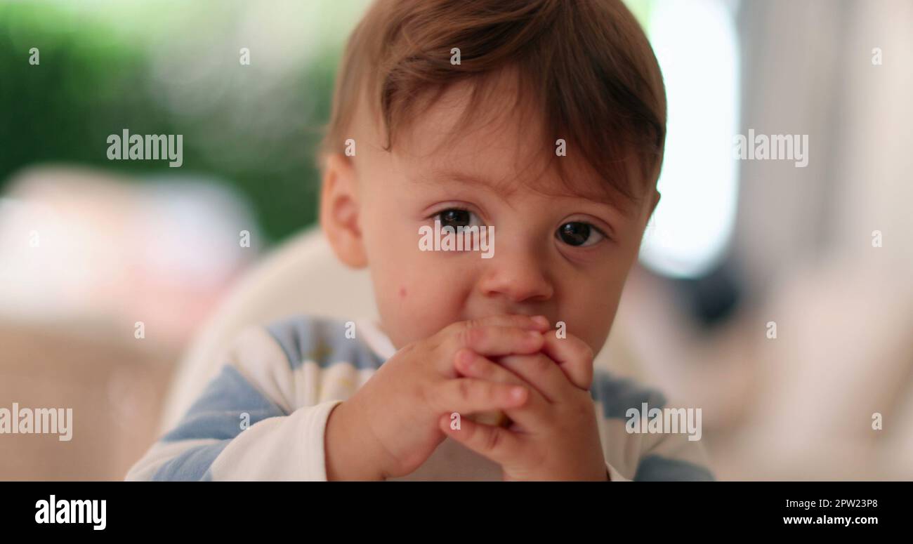 Baby trying lemon for first time, infant toddler face expression ...