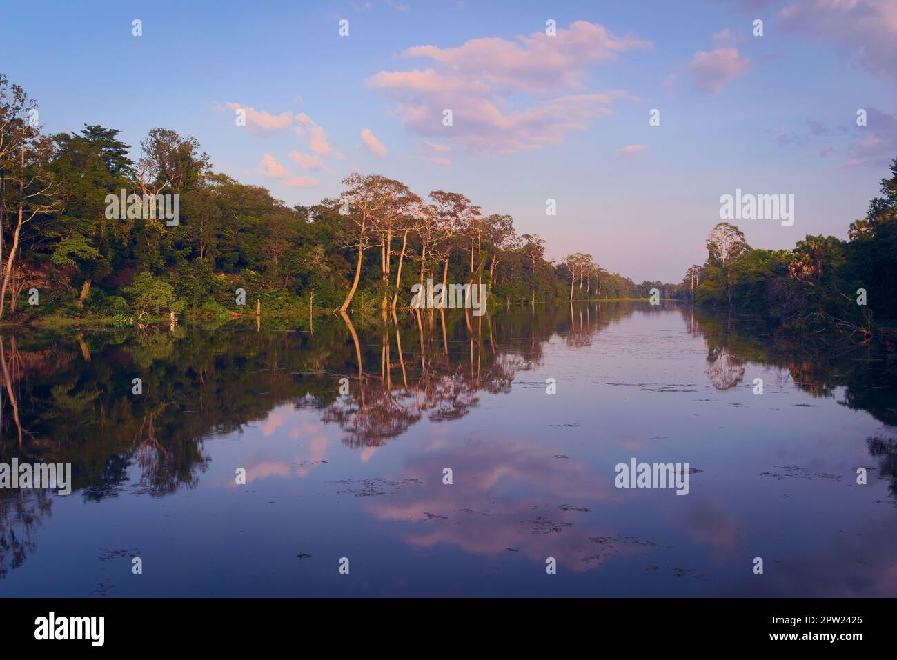 Reflections of the jungle over the broad moat of the ancient city of ...
