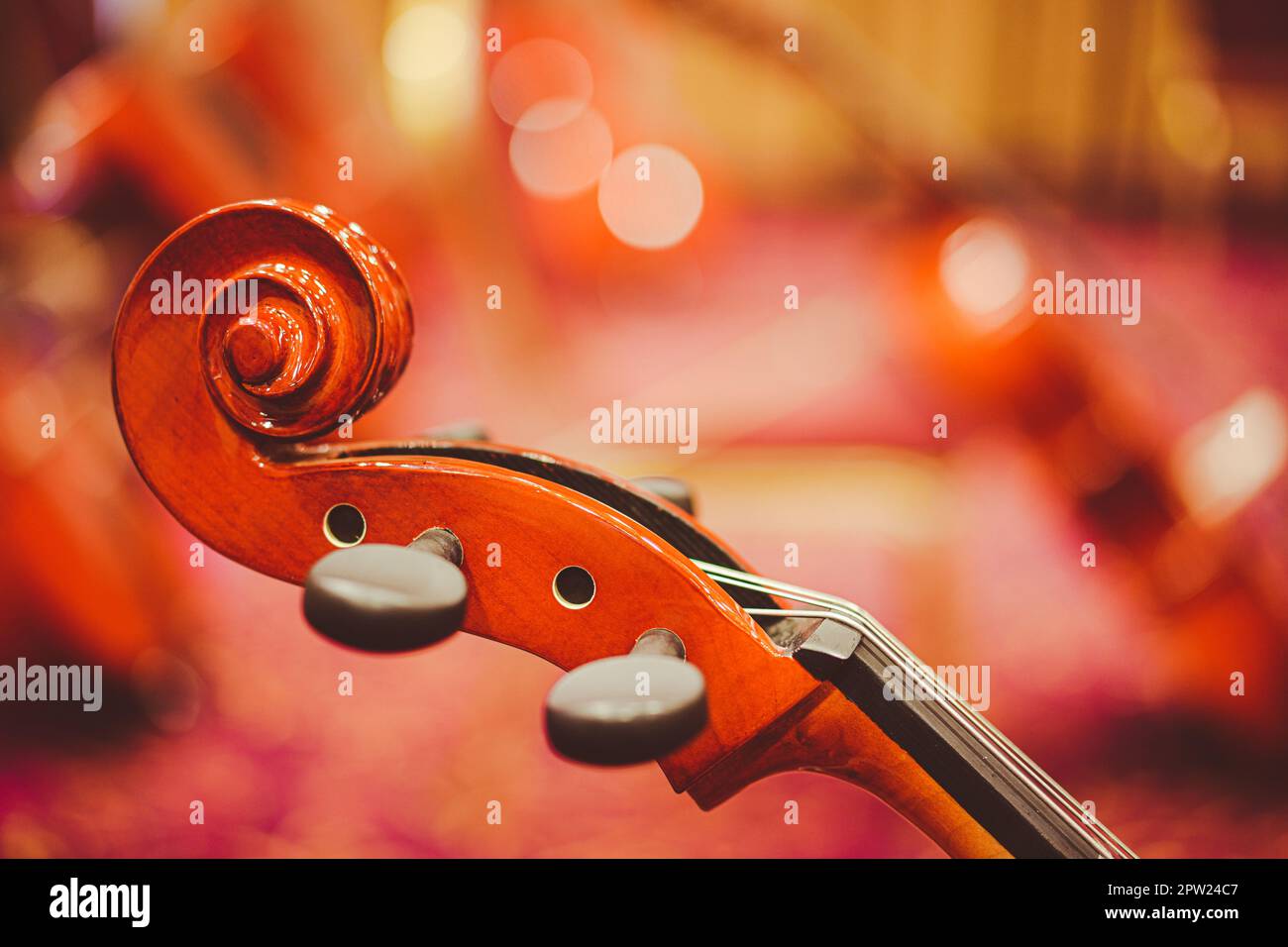 Cello scroll on headstock and tuning pegs Stock Photo - Alamy