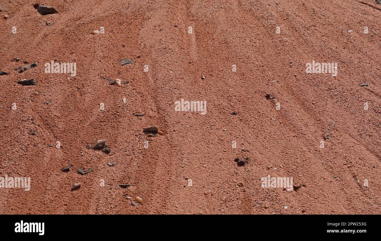 Red soil terrain after rain, in the national geological Timna park ...