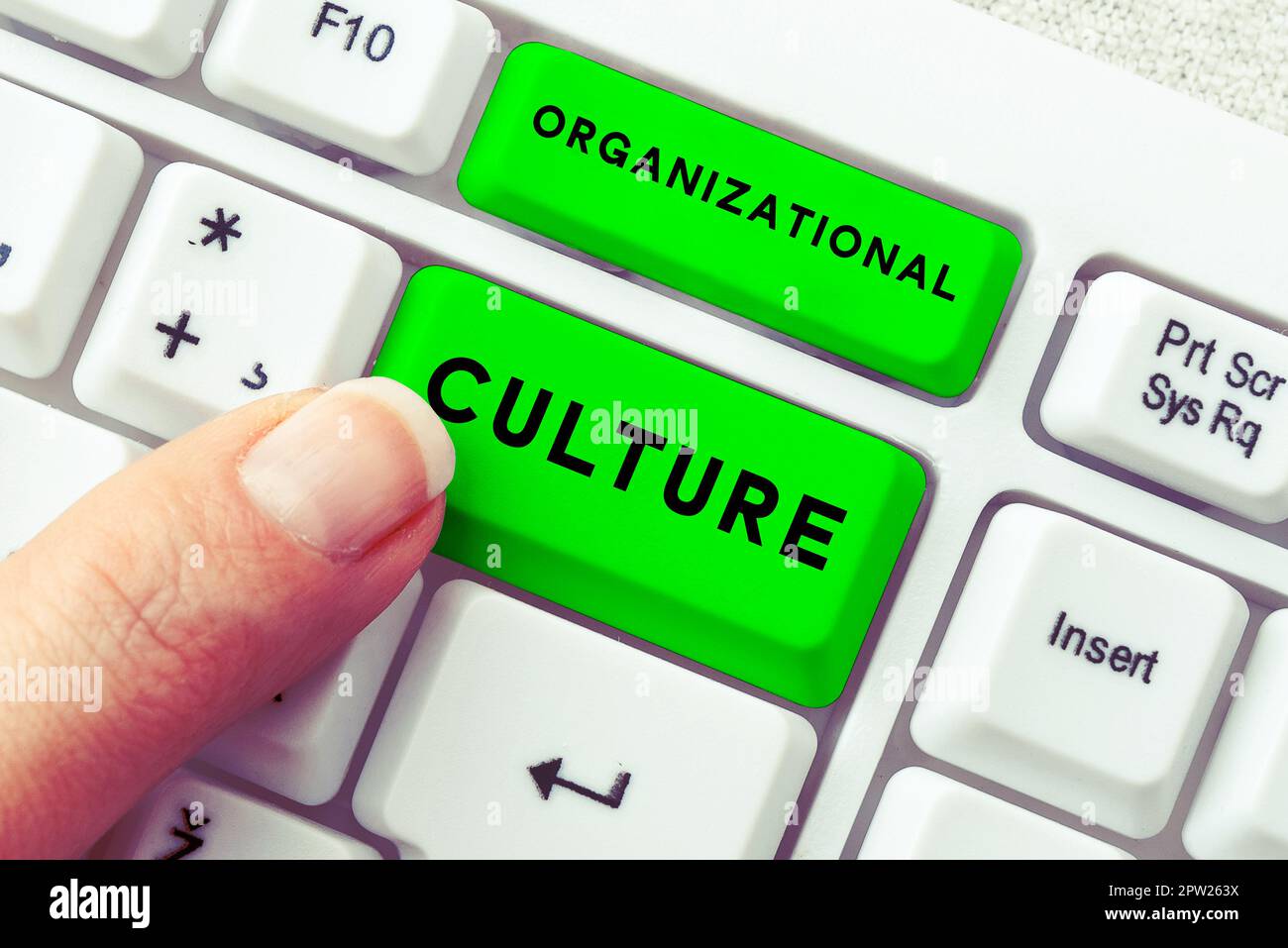Text sign showing Organizational Culture, Word for the study of the way ...
