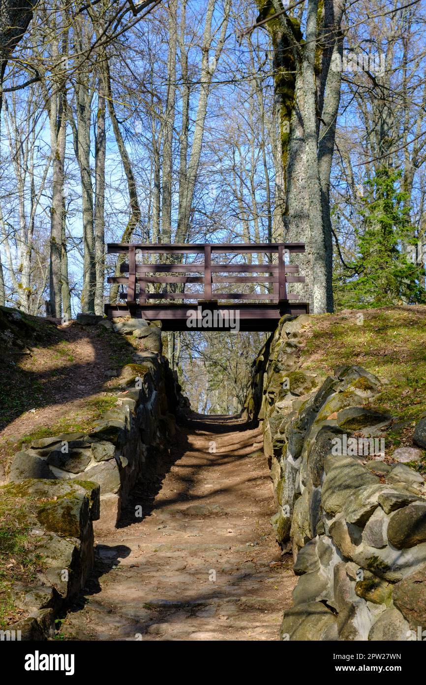 Small Walking Bridge