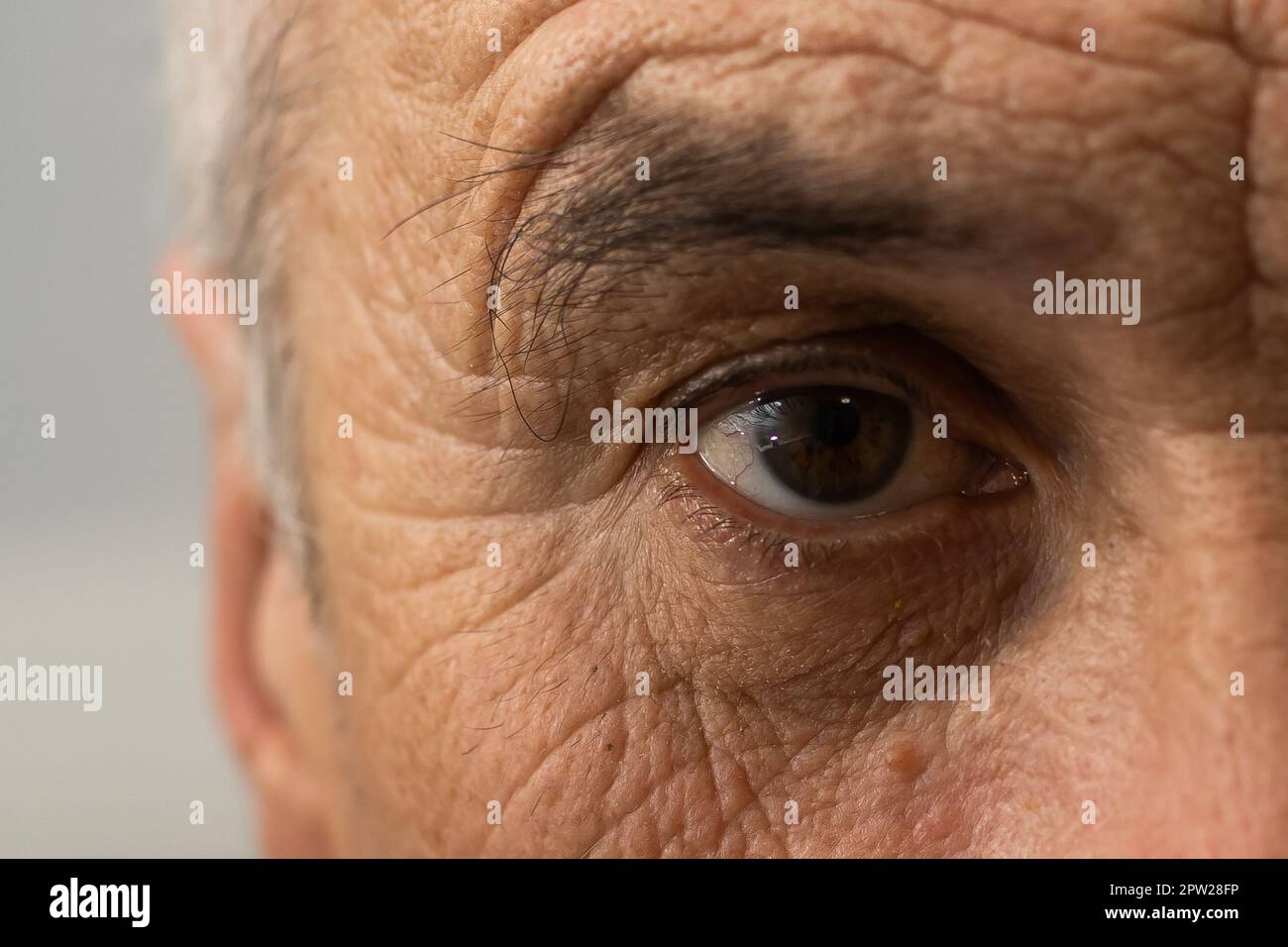 Old man face with wrinkles, grey haired pensioner ageing skin close up ...