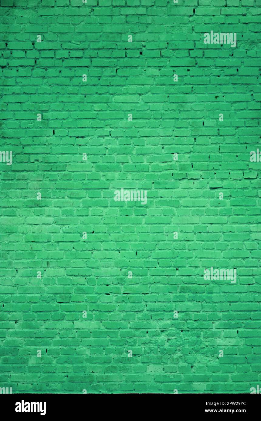 The texture of the brick wall of many rows of bricks painted in green ...