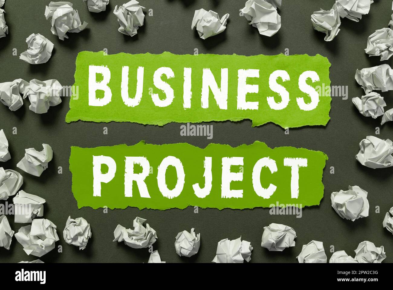 Text showing inspiration Business Project, Word Written on Planned set ...