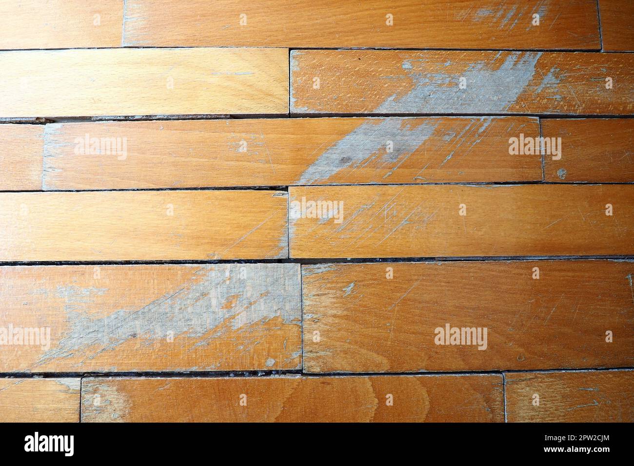 Old, scratched parquet flooring needs maintenance. The parquet is ...