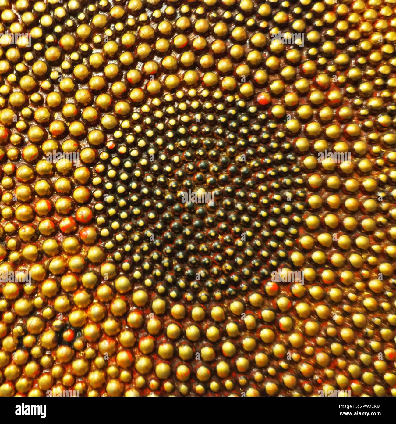 Pimples or spikes made of gold metal. Metal rounded bulges are located ...