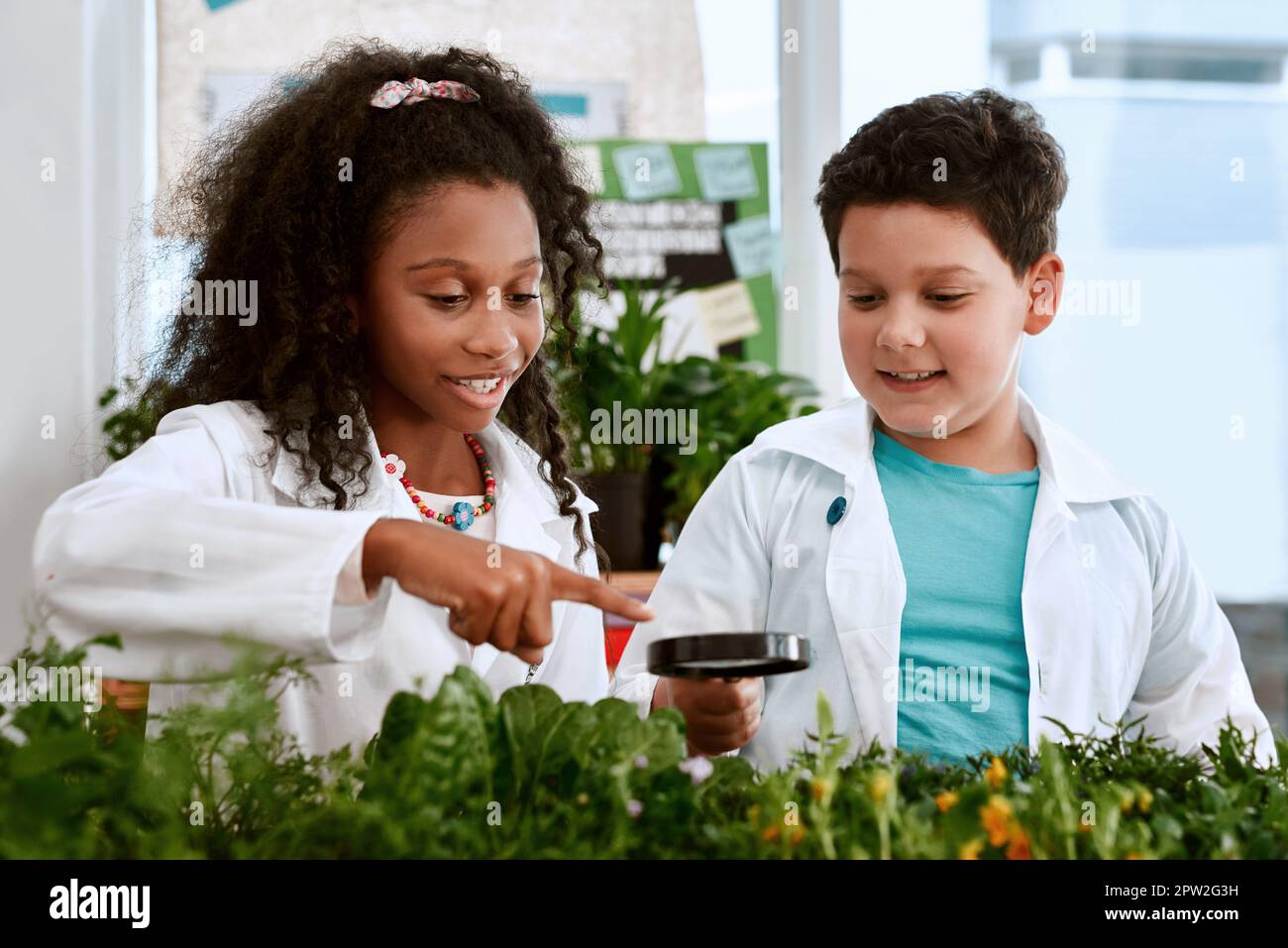 Shot of an adorable little boy and girl learning about plants at school ...