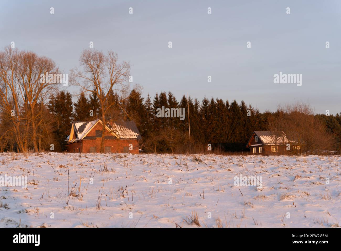 Woods in winter without snow hi-res stock photography and images - Alamy